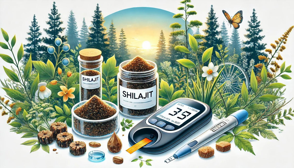 Role of Shilajit in Diabetes Management | Lion Shilajit