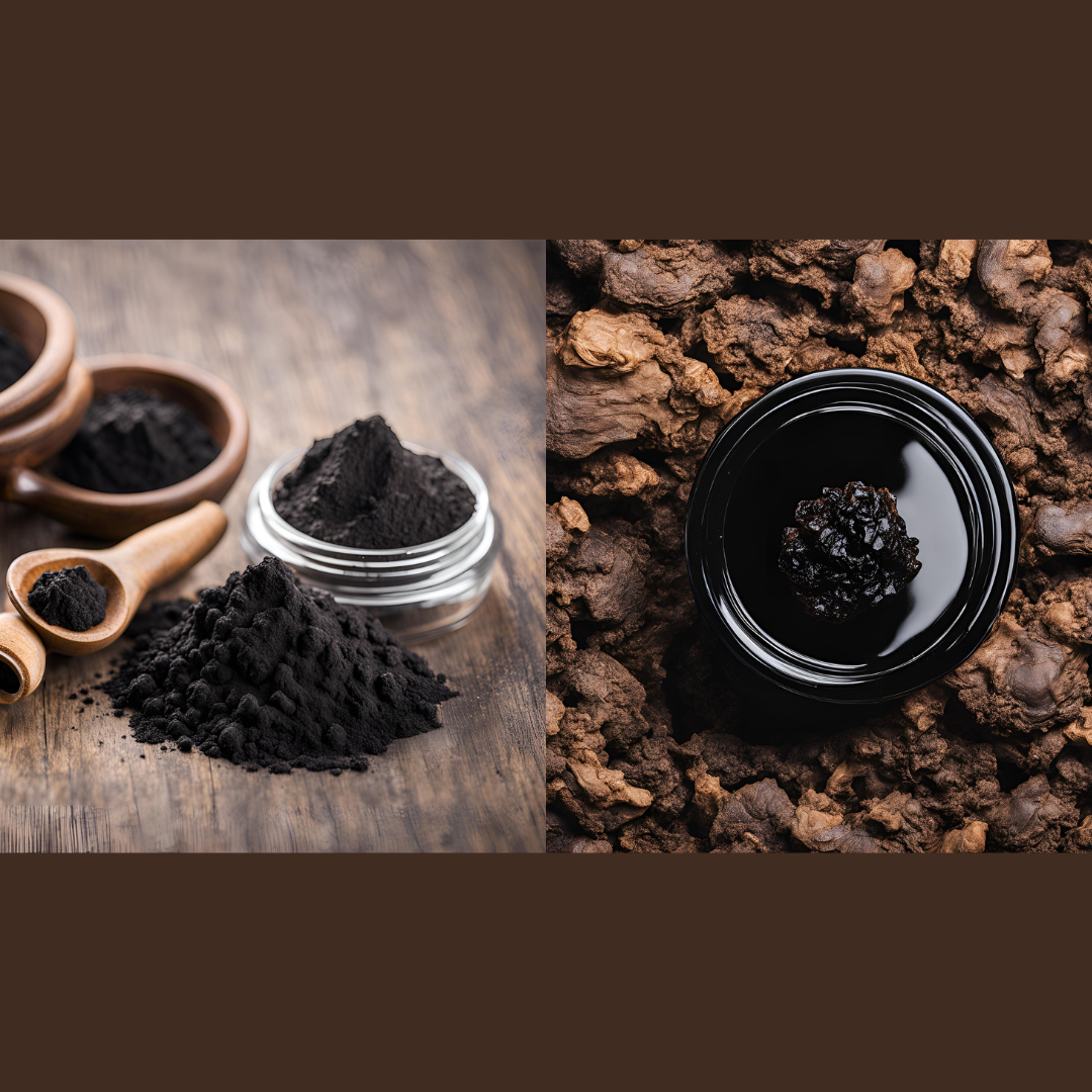 Shilajit Resin Vs Shilajit Powder | Which Is Better? | Lion Shilajit
